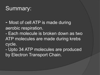 Cellular Respiration presentation by Maria Rashid | PPTX