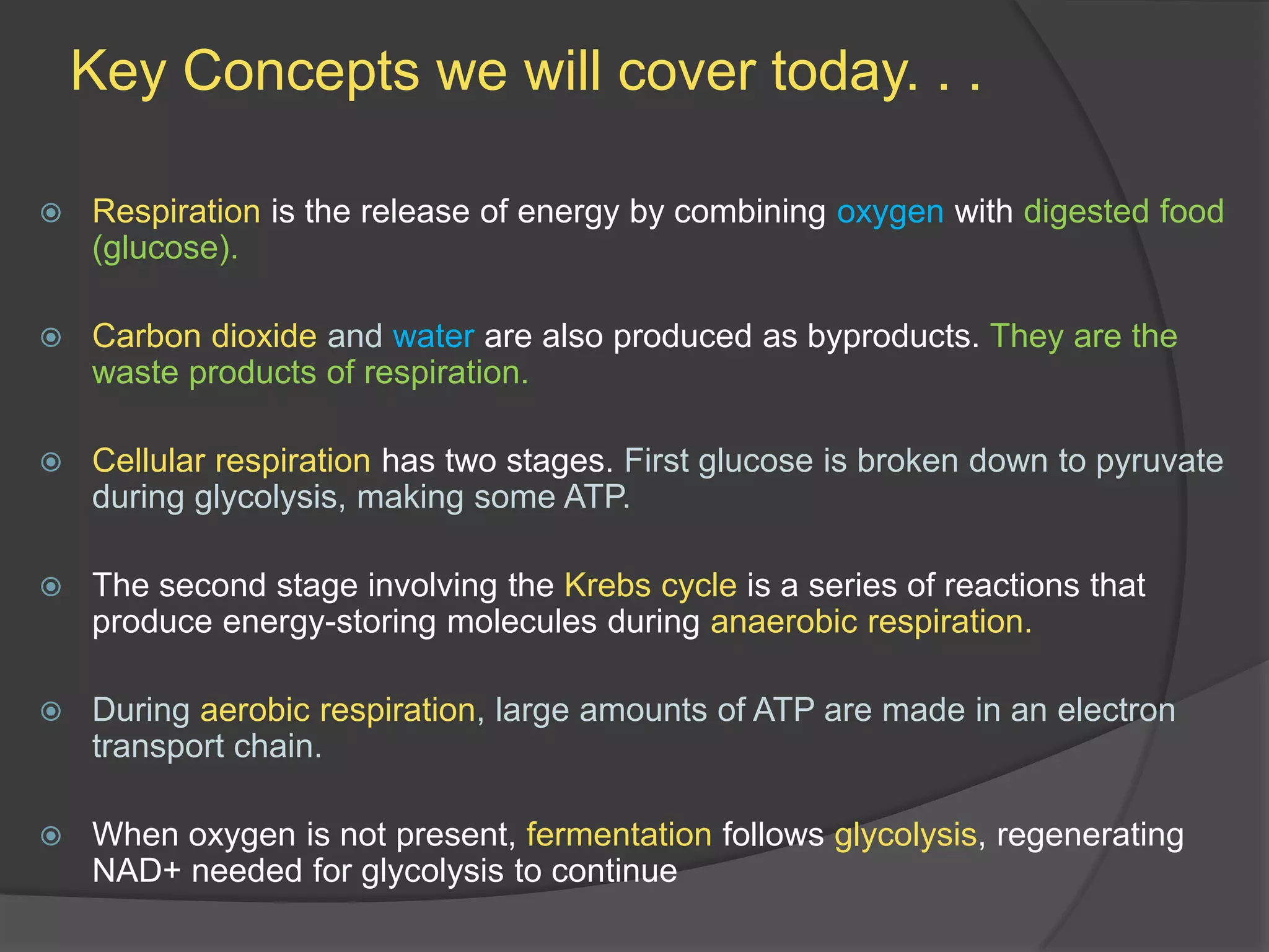 Cellular respiration in detail | PPTX
