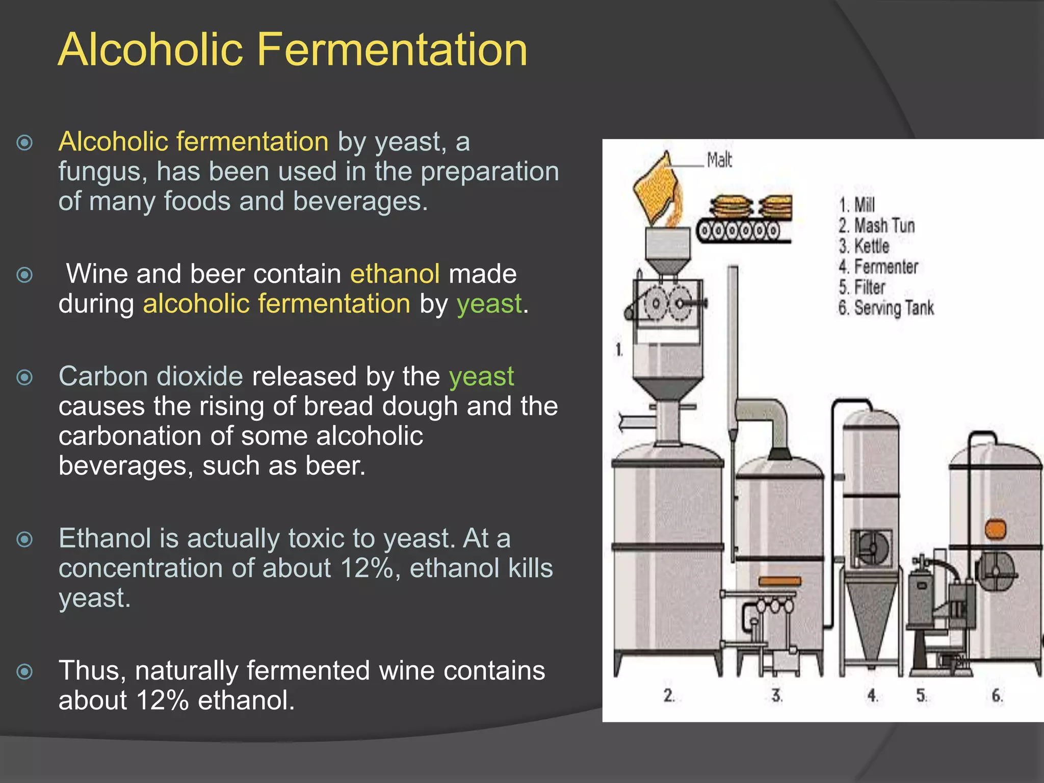 Cellular respiration in detail | PPTX