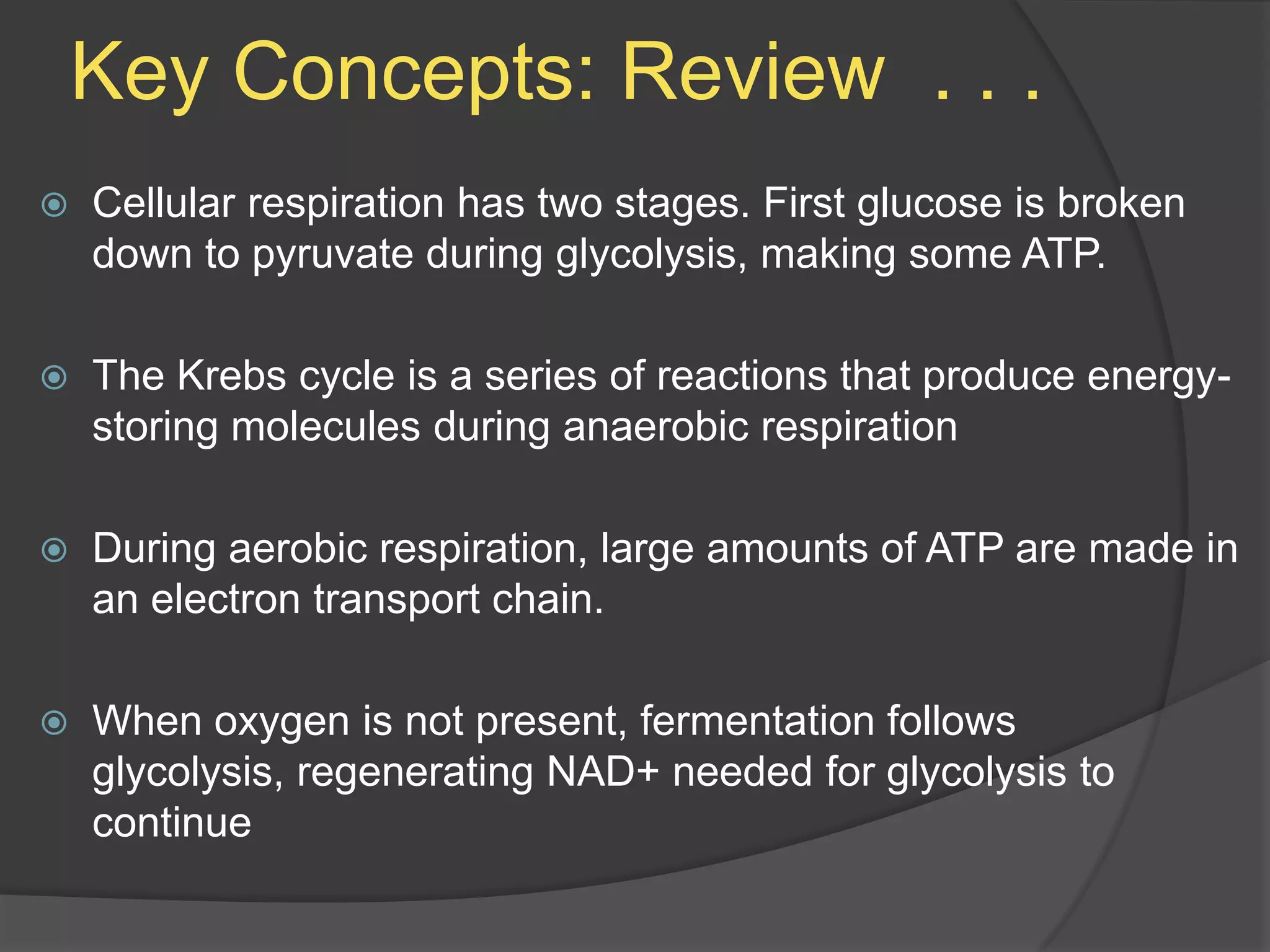 Cellular respiration in detail | PPTX