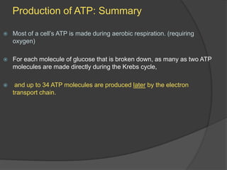 Cellular respiration in detail | PPTX
