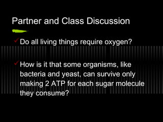 Cellular respiration introduction general for 9th grade biology | PPT