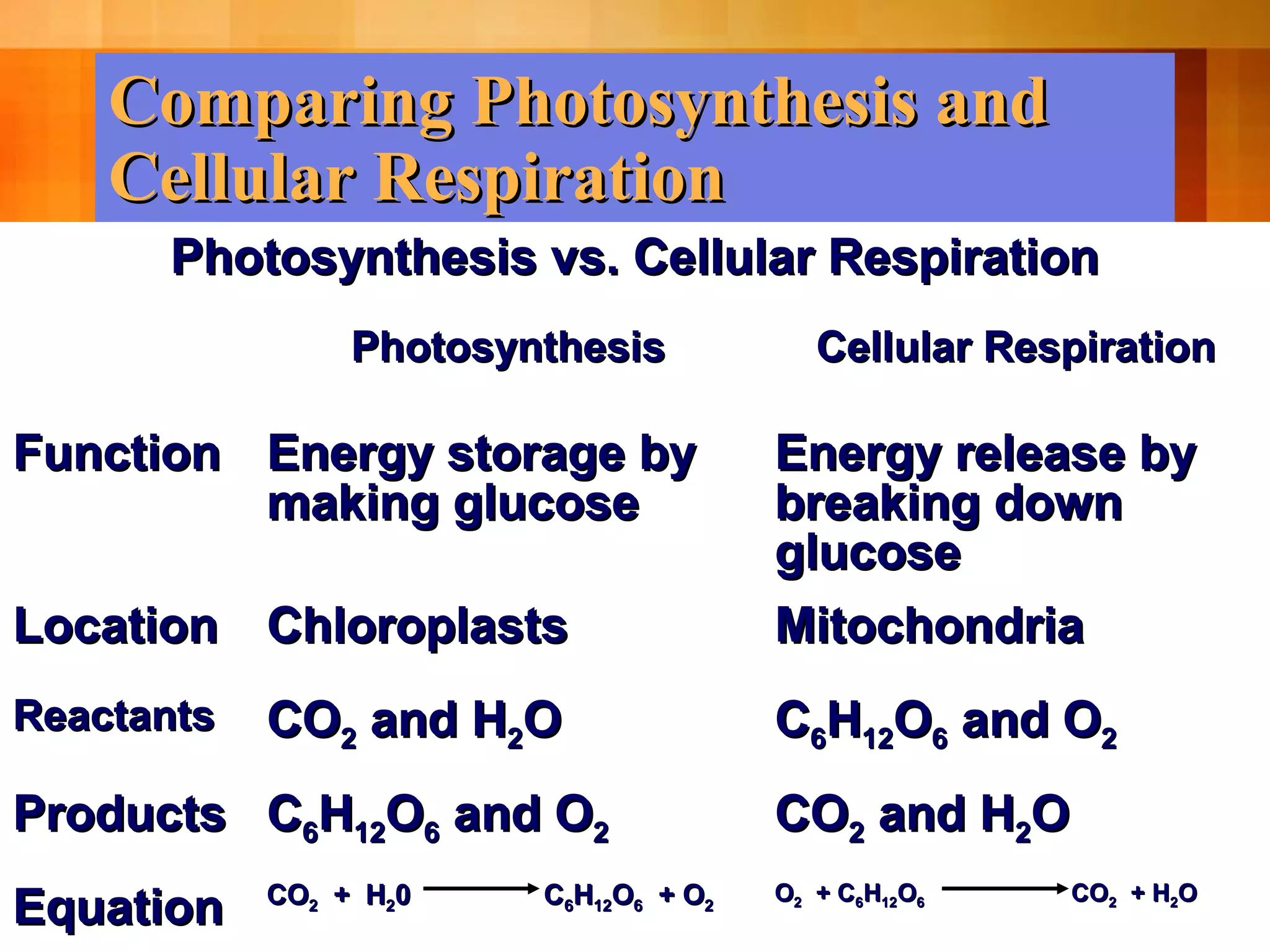Cellular respiration introduction for 9th grade biology | PPT