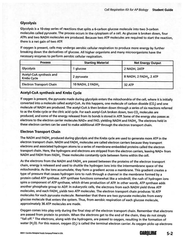 Cellular respiration lab | PDF