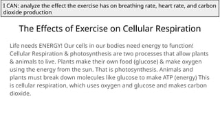 Cellular Respiration and heart rate Lab | PPTX