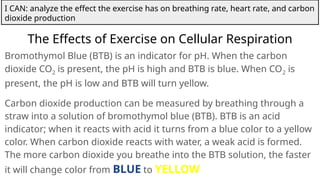 Cellular Respiration and heart rate Lab | PPTX