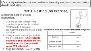 Cellular Respiration and heart rate Lab | PPTX