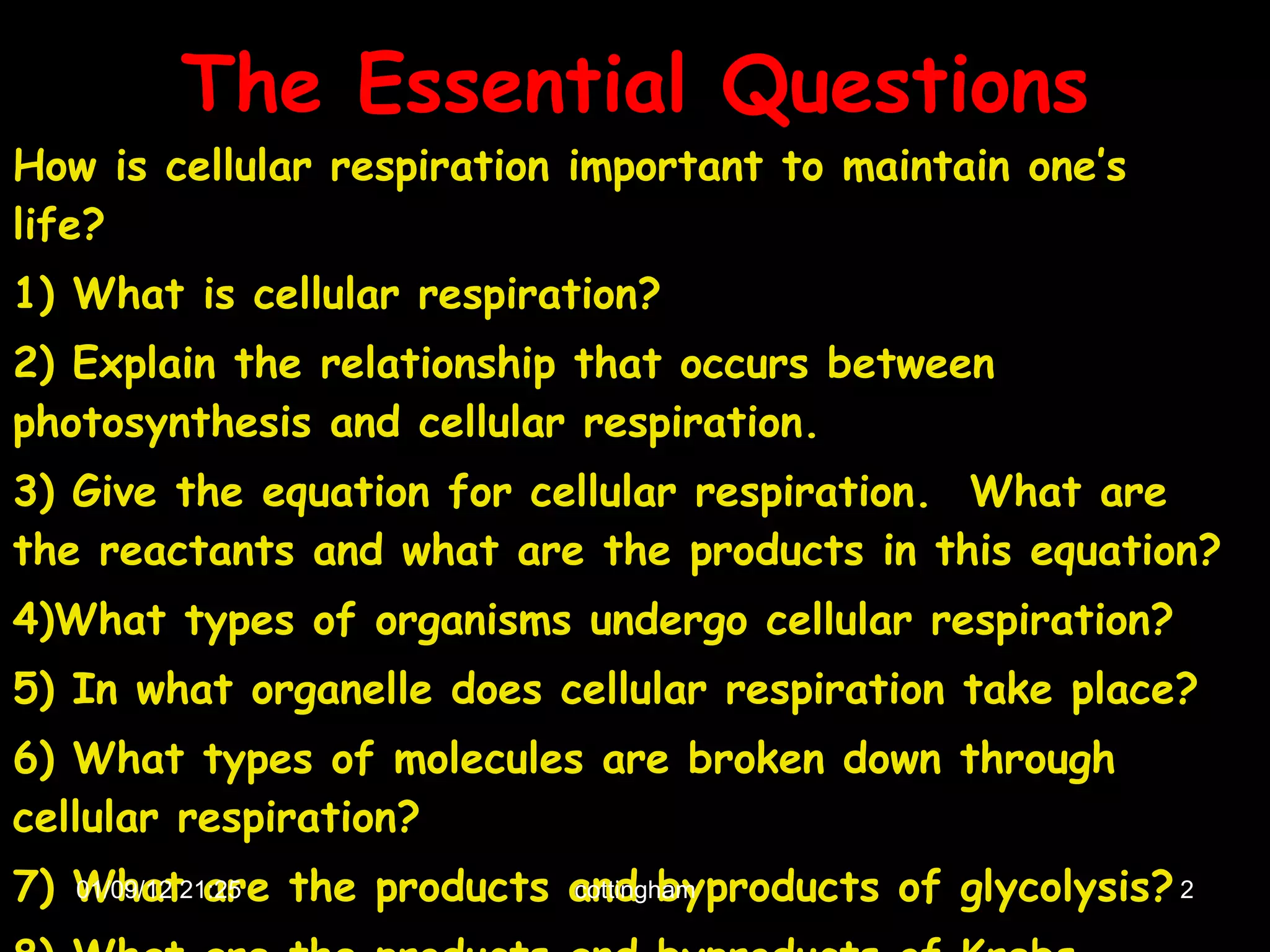 Cellular respiration master honors | PPT | Biological Sciences | Science