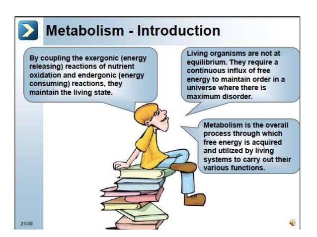 Cellular respiration & metabolism | PPTX