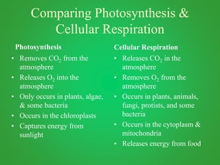 Photosynthesis And Cellular Respiration Compare And Contrast