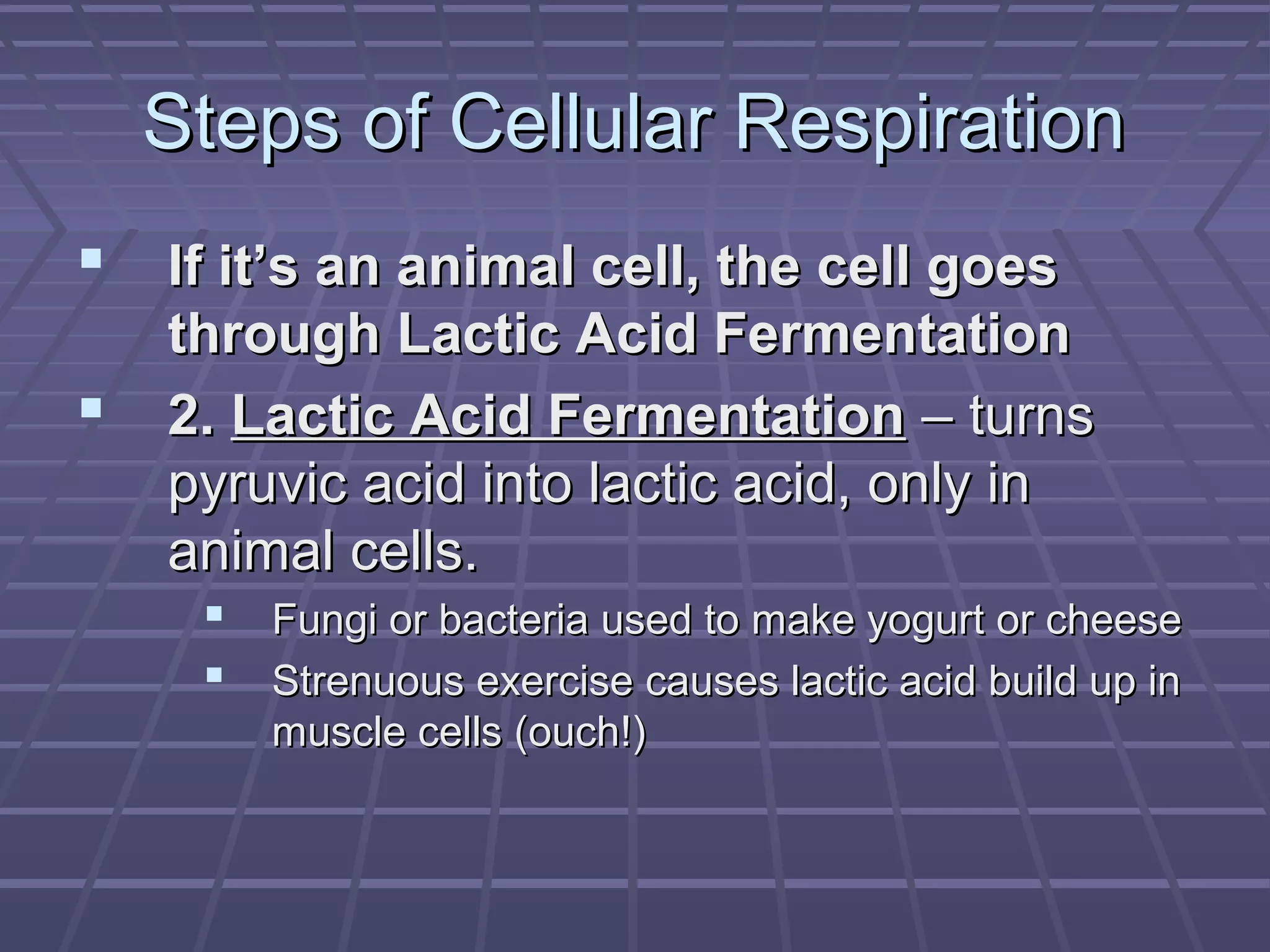 Cellular Respiration Notes | PPT