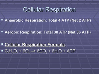 Cellular Respiration Notes | PPT