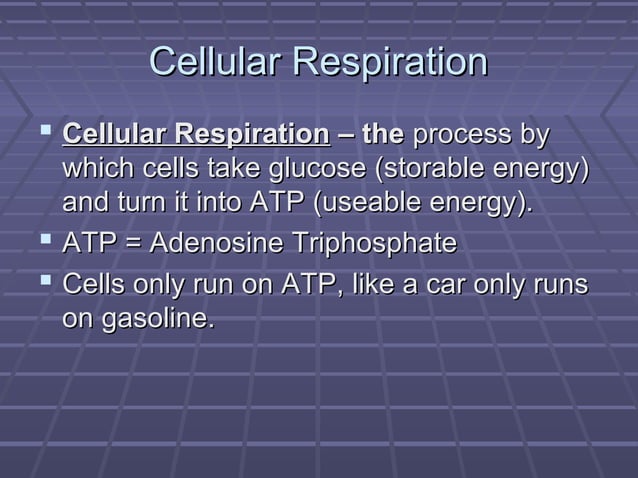 Cellular Respiration Notes | PPT | Chemistry | Science