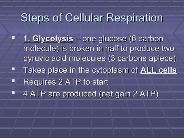 Cellular Respiration Notes | PPT | Chemistry | Science