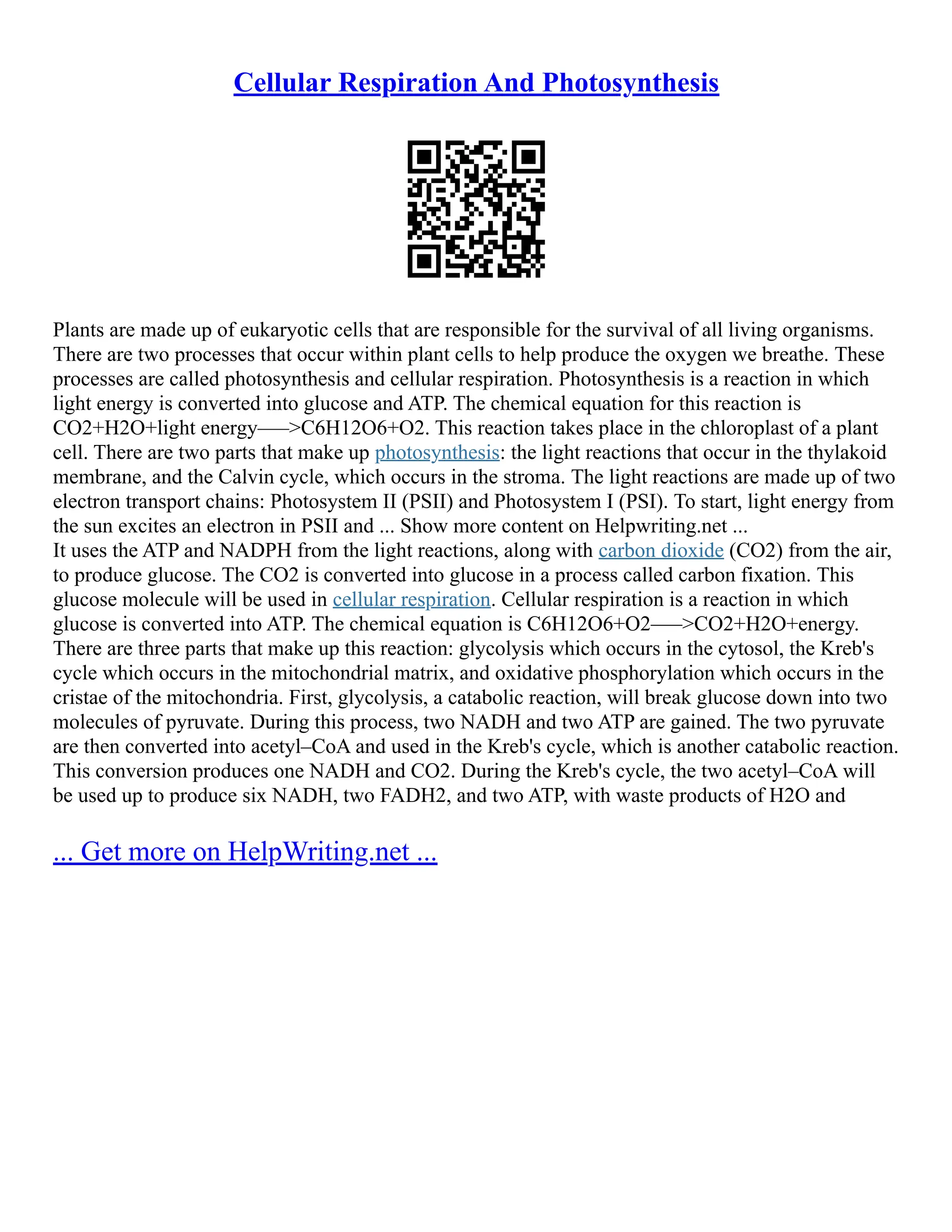 Cellular Respiration Paper | PDF