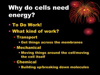 Cellular respiration part 1 | PPTX