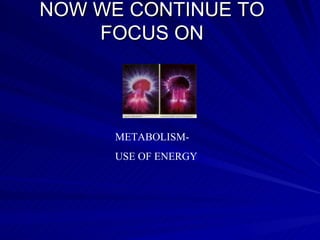 Cellular respiration powerpoint unit 5 continued (revised2006) | PPT