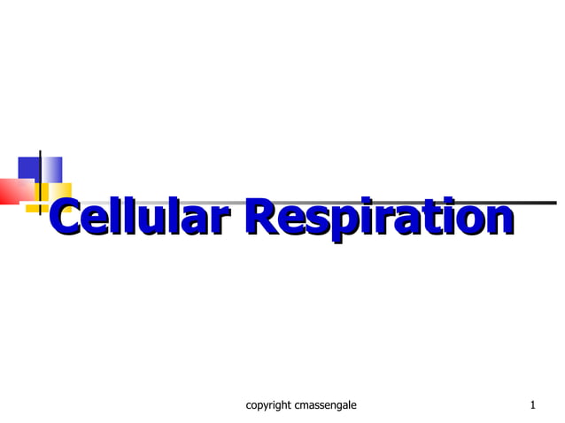 Cellular respiration ppt | PPT | Chemistry | Science