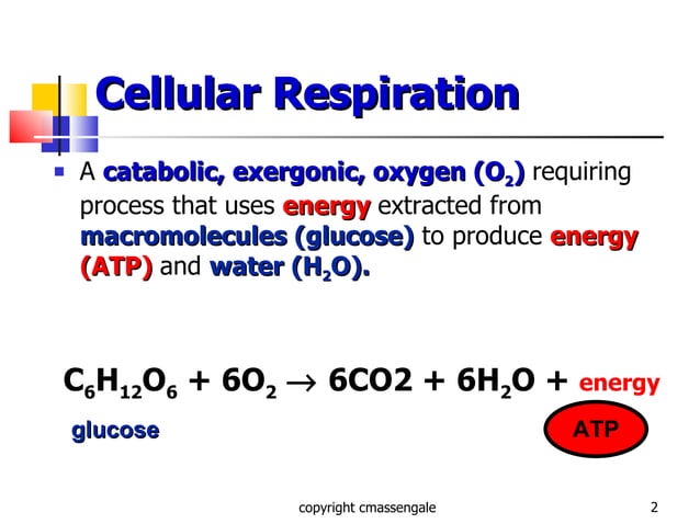 Cellular respiration ppt | PPT