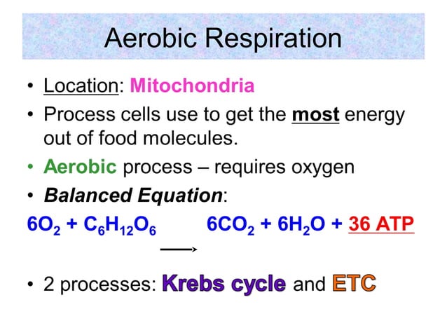 Cellular Respiration for grade 9 ppt.ppt