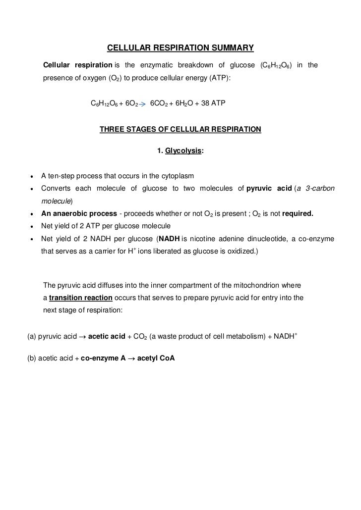 Summary of Cellular respiration