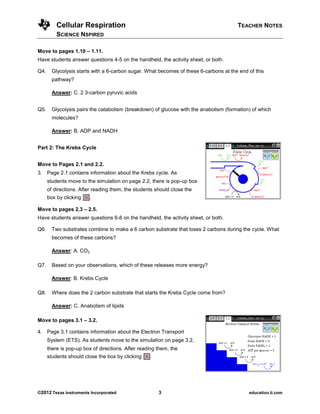 Cellular respiration teacher | PDF | Chemistry | Science