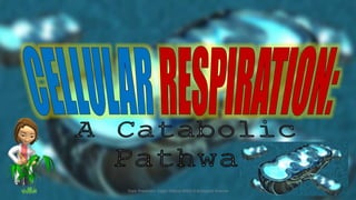 Cellular Respiration | PPT
