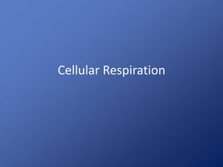 Cellular respiration updated | PPT