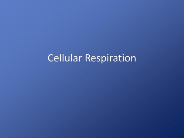 Powerpoint Lecture Notes: Cellular Respiration | Biology I