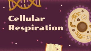 Cellular Respiration with Yeast Demo.pdf