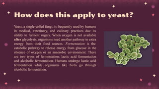 Cellular Respiration with Yeast Demo.pdf