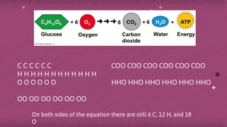 Cellular Respiration with Yeast Demo.pdf