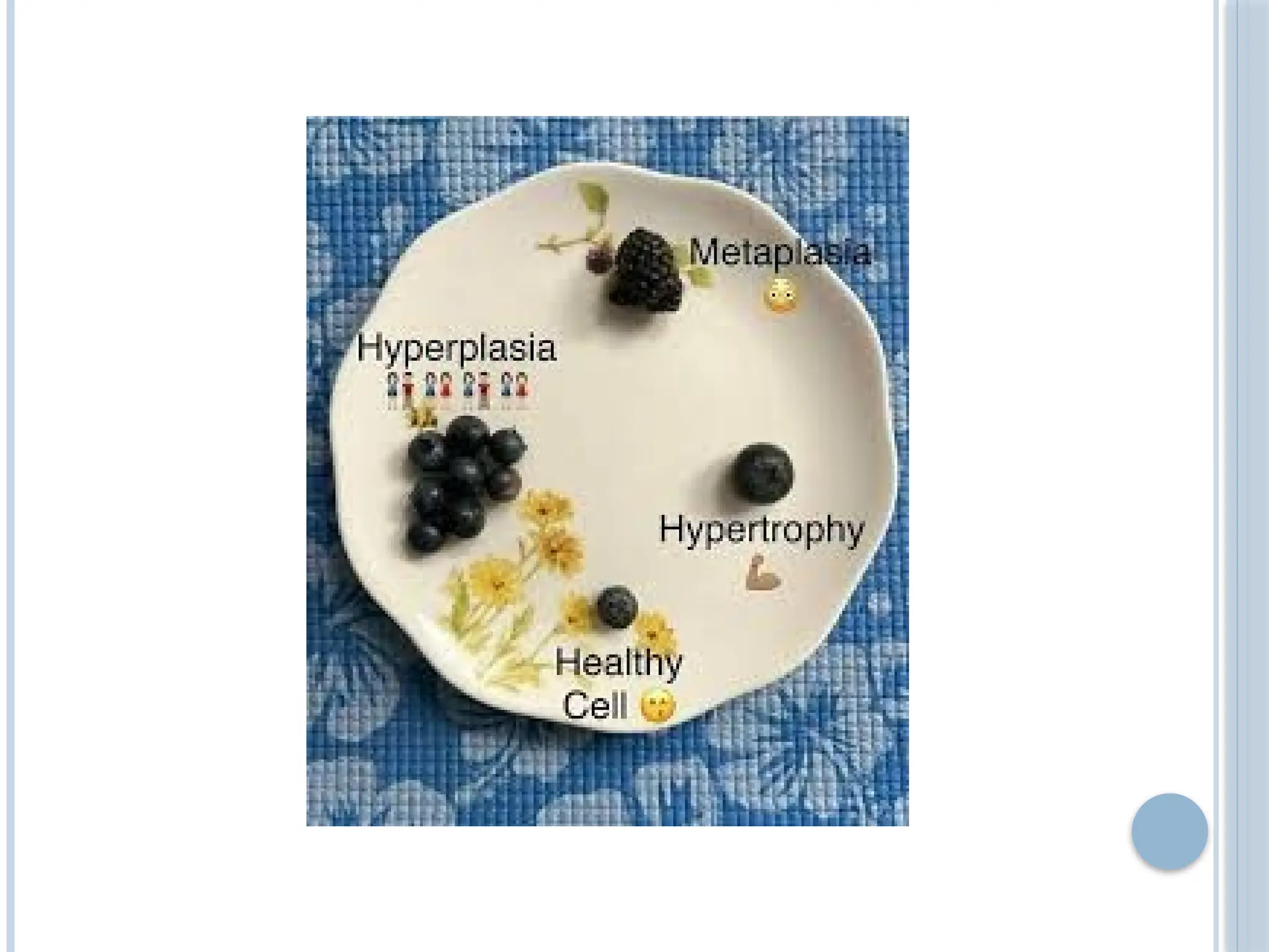 cellular reactions to injury (PATHOLOGY) | PPTX