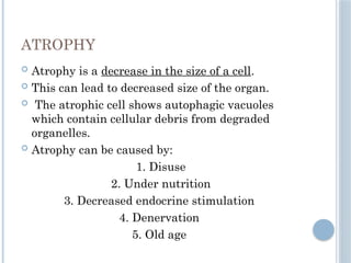 cellular reactions to injury (PATHOLOGY) | PPTX