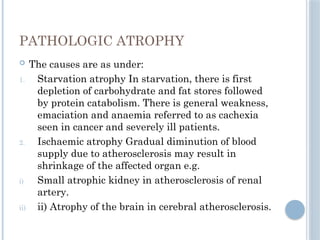 cellular reactions to injury (PATHOLOGY) | PPTX