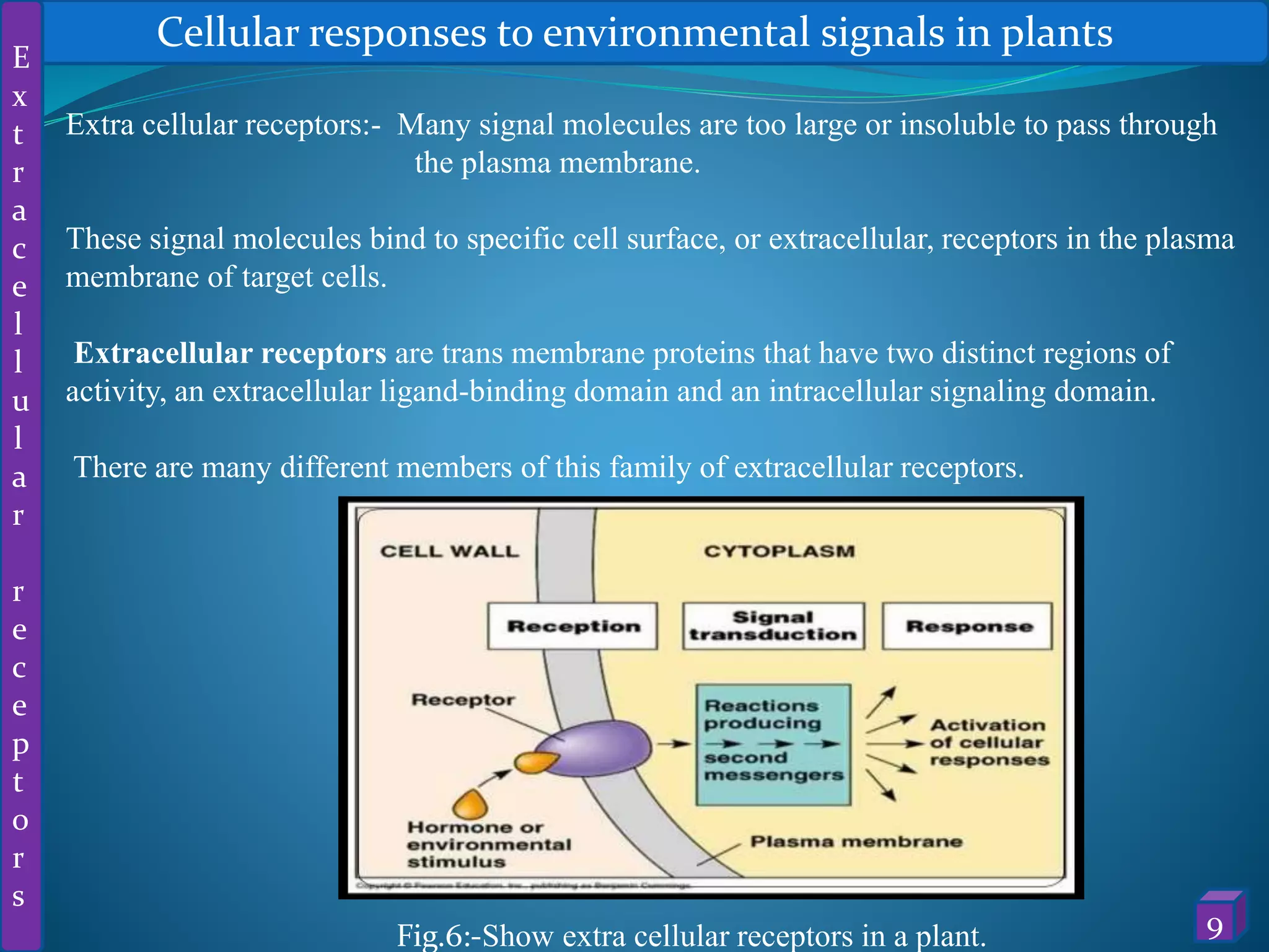 Cellular responses to environmental signals in plants | PPTX