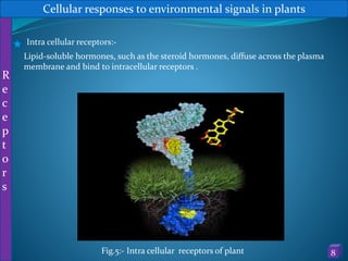 Cellular responses to environmental signals in plants | PPTX