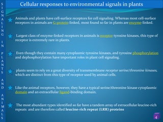 Cellular responses to environmental signals in plants | PPTX