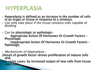 Cellular responses to stress part i | PPTX