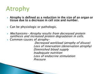 Cellular responses to stress part i | PPTX