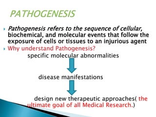 Cellular responses to stress part i | PPTX