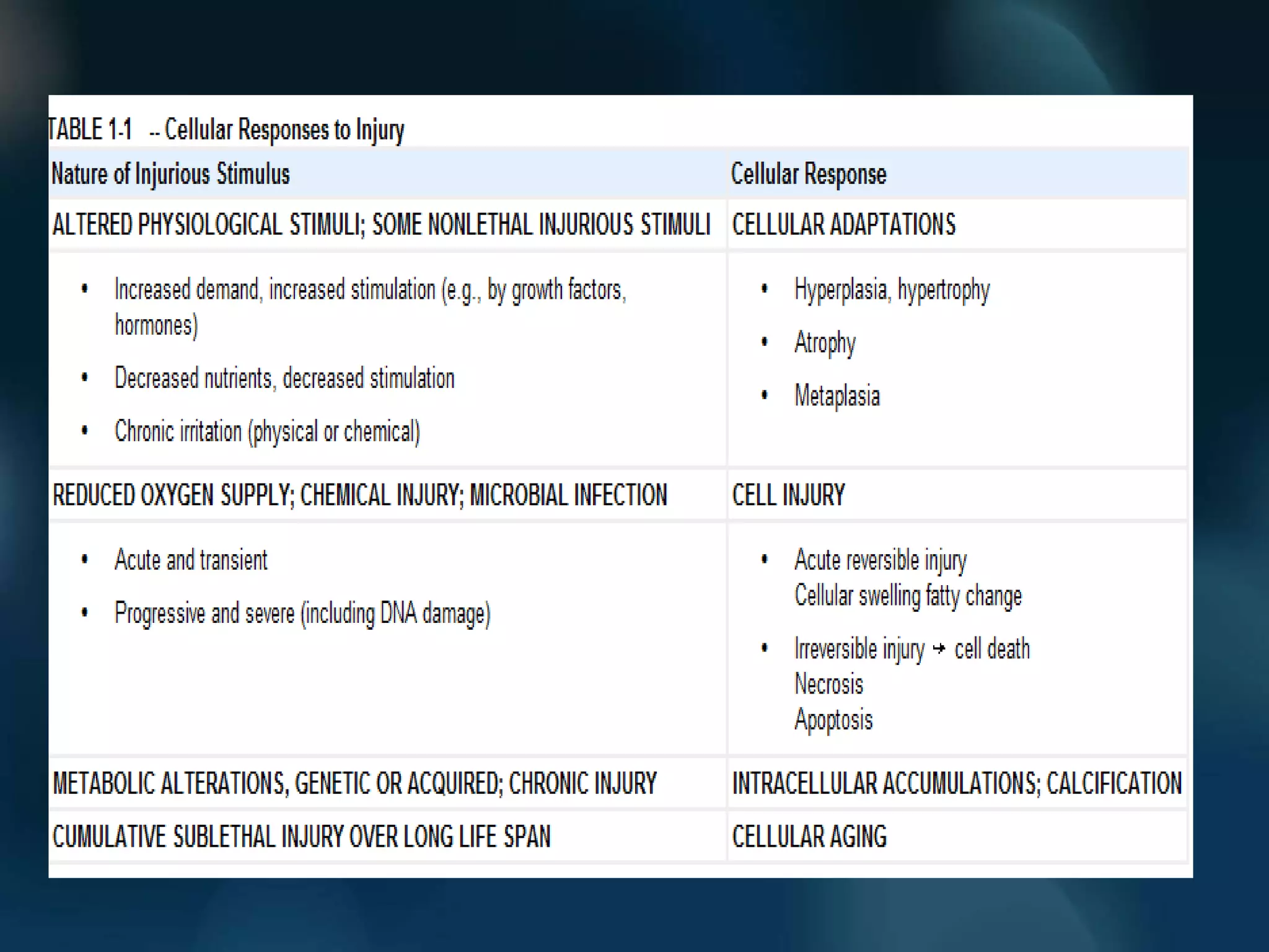Cellular responses to stress and noxious stimuli | PPTX