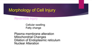 Cellular response to injury, acute inflammation,healing and jeganathan ...