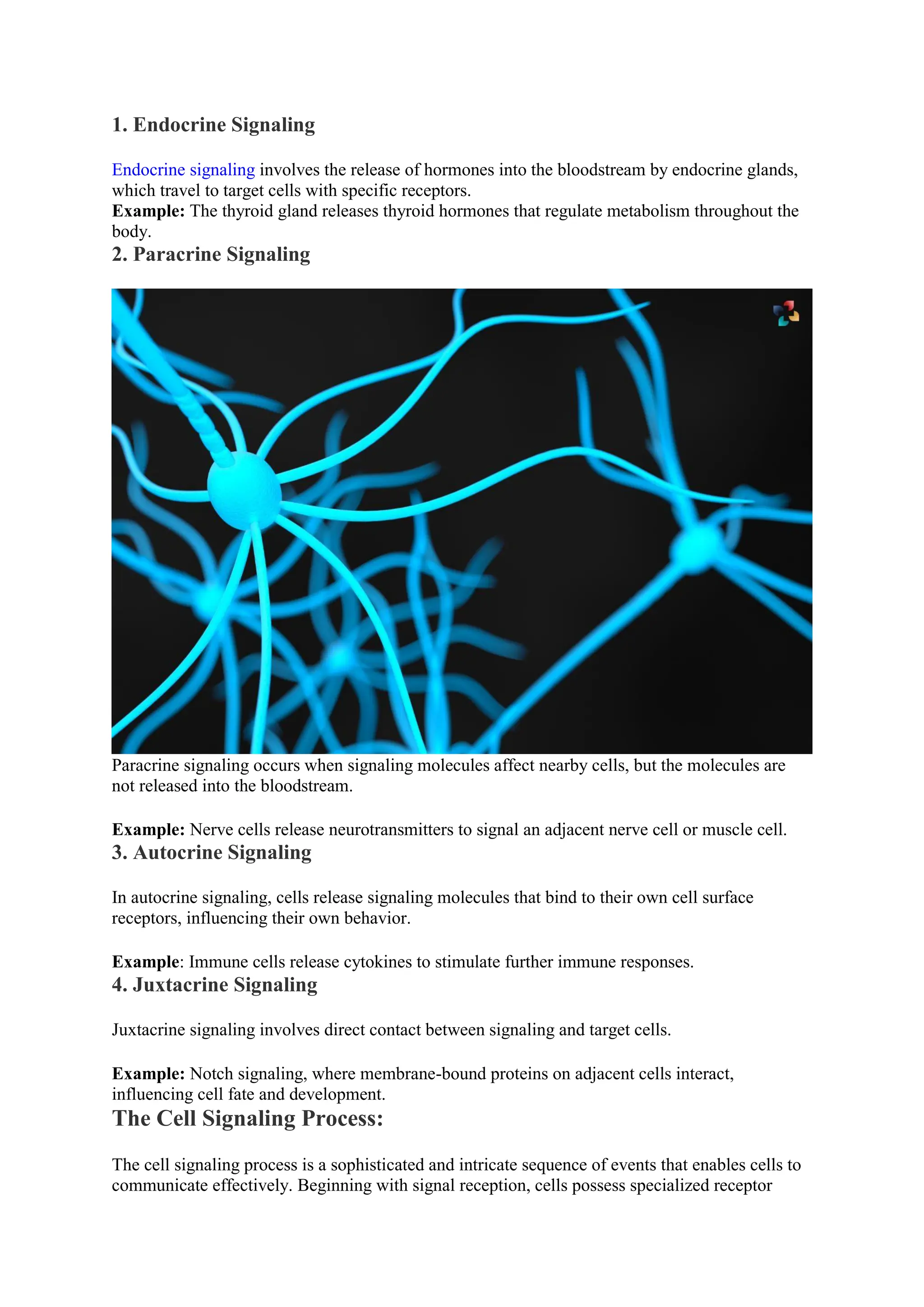 Introduction to Cellular Signaling: Types, Process, and Functions | The ...