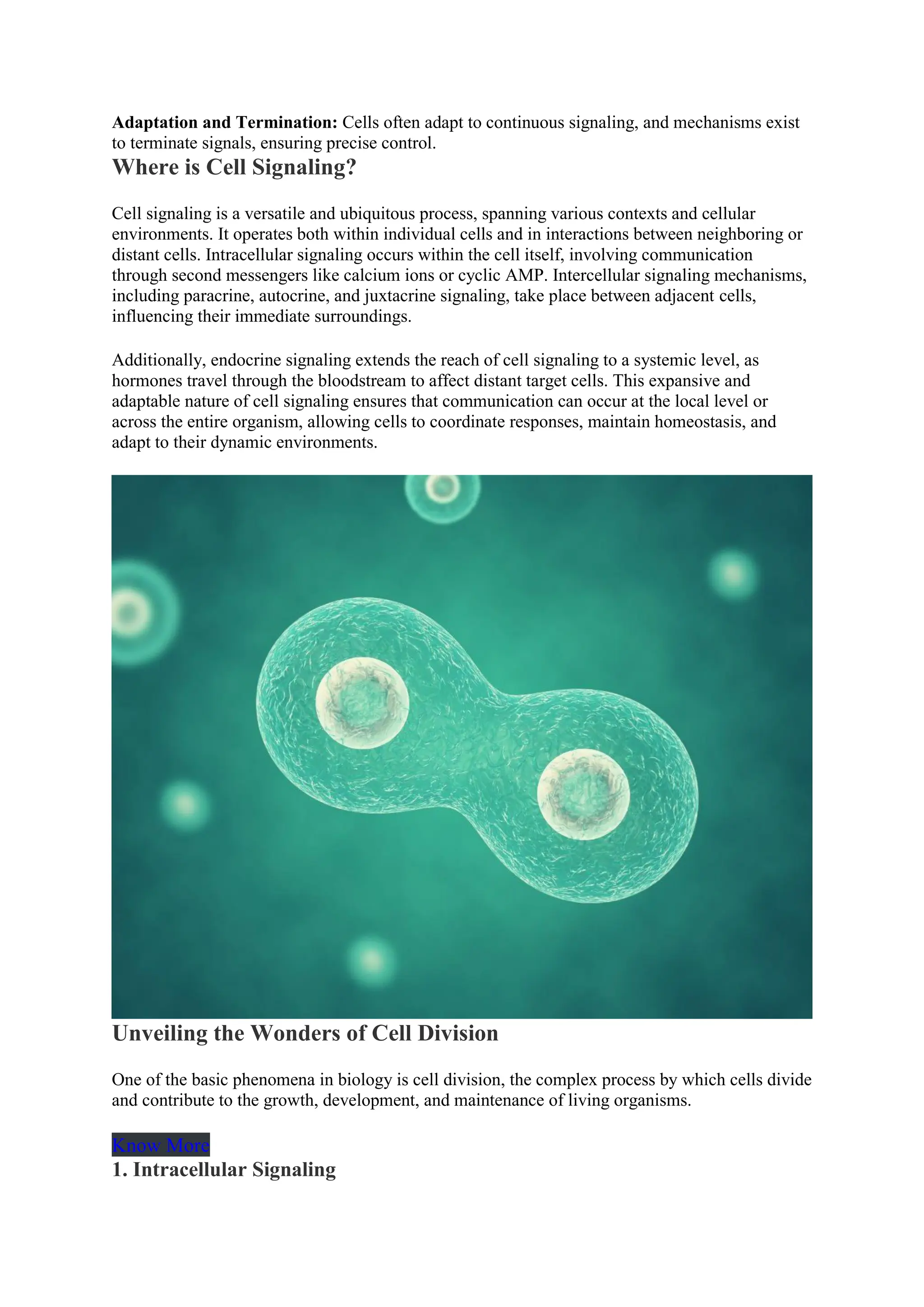 Introduction to Cellular Signaling: Types, Process, and Functions | The ...