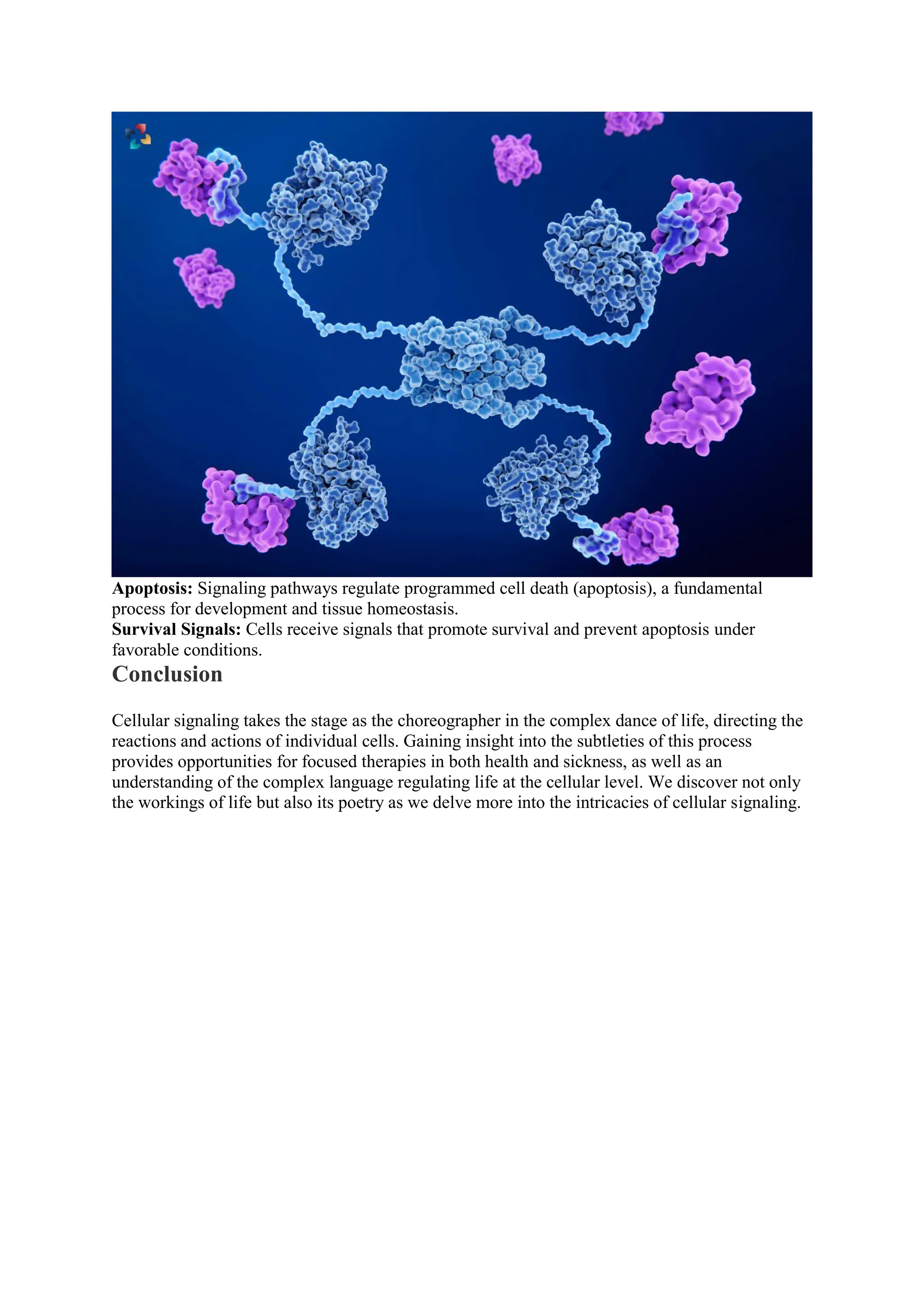 Introduction to Cellular Signaling: Types, Process, and Functions | The ...
