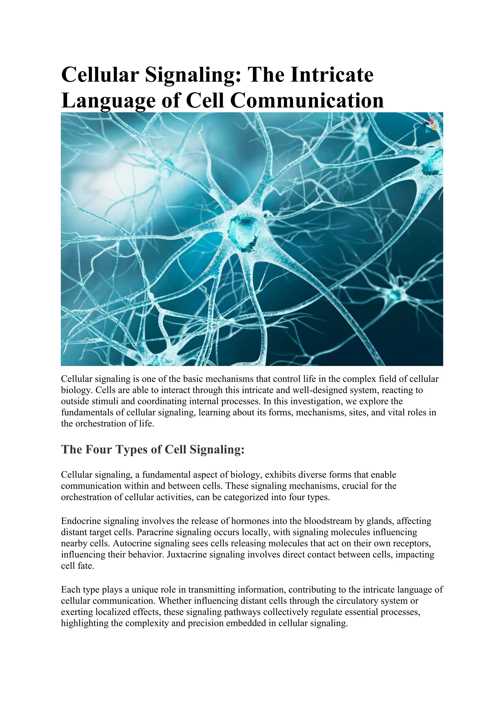 Introduction to Cellular Signaling: Types, Process, and Functions | The ...