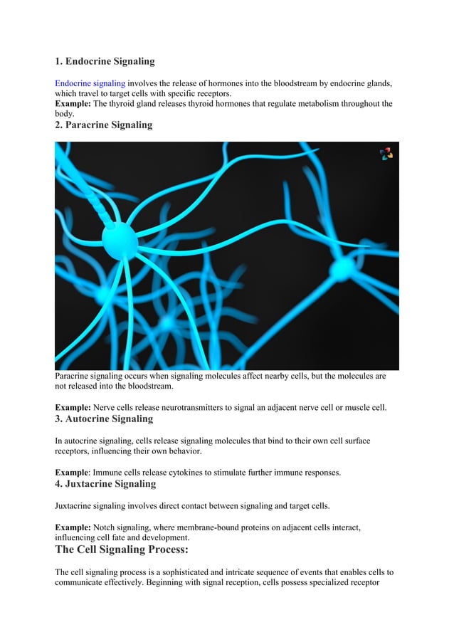 Introduction to Cellular Signaling: Types, Process, and Functions | The ...