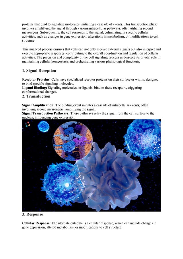 Introduction to Cellular Signaling: Types, Process, and Functions | The ...