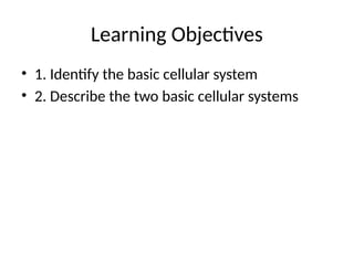 Cellular_Signal_System_Presentation.pptx